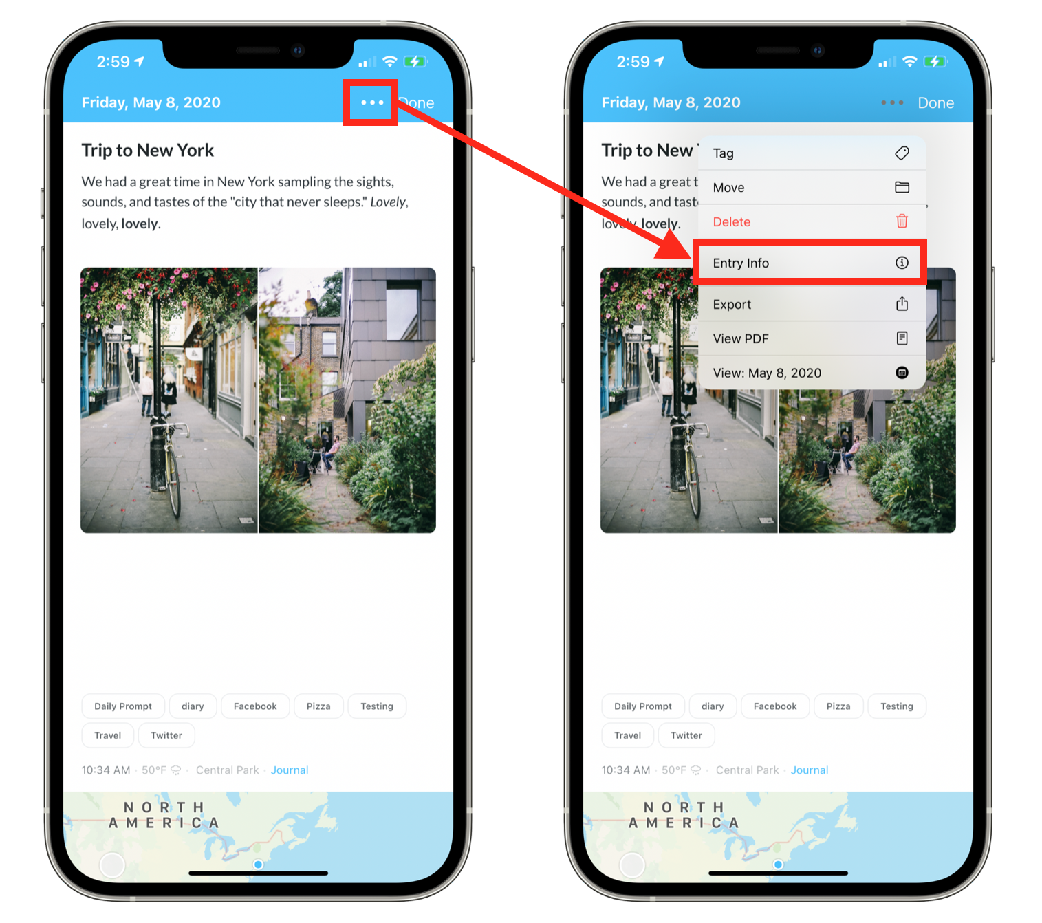 Entry Info/Metadata in Day One for iOS